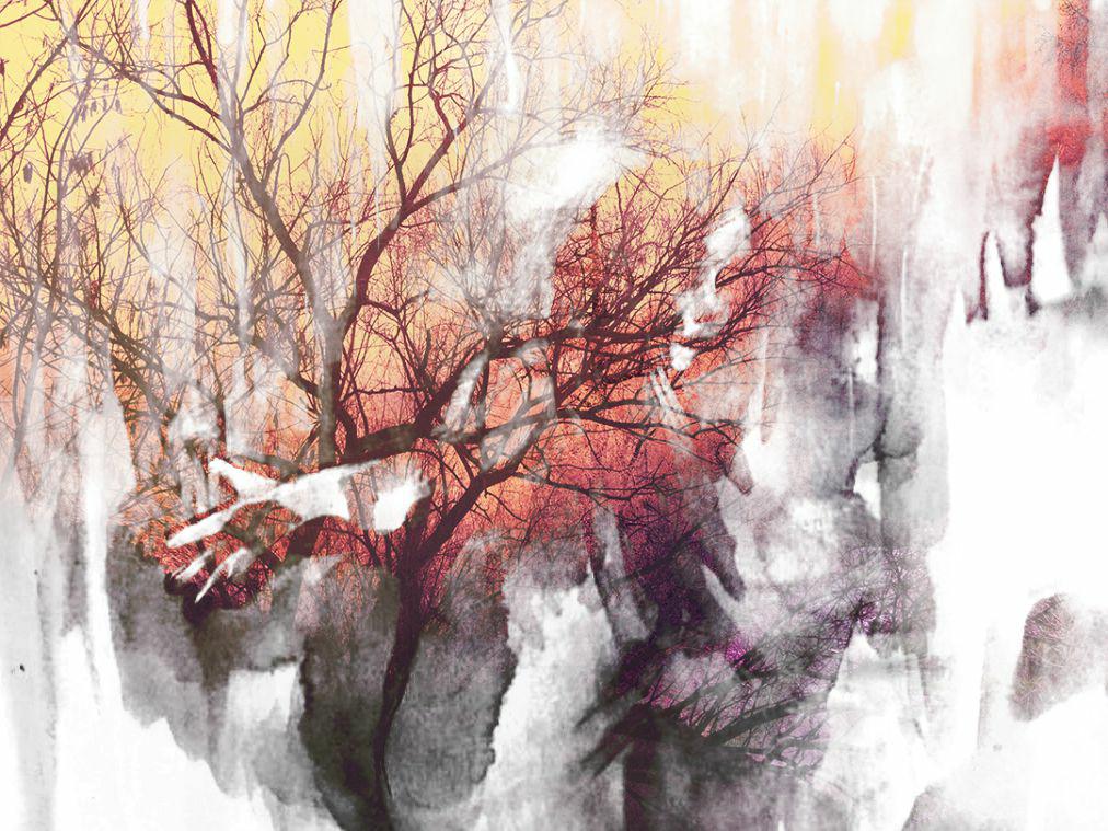 Sharon Lyn Stackpole (2)